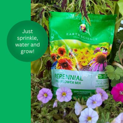 Earth Science Perennial All-in-One Wildflower Mix with Seed, Plant Food ...