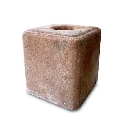 JustiFLY Fly-A-Salt Feed-Thru Fly Control Block Insect Growth Regulator ...