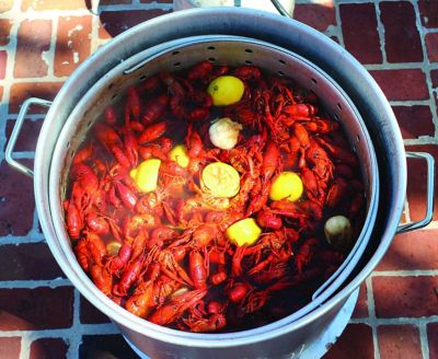 King Kooker 60 qt. Jet Cooker Package with Aluminum Pot at Tractor ...