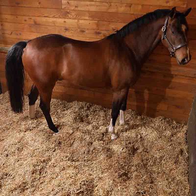 Greenway Animal Nutrition Premium Chopped Straw Bedding, 3 cu. ft. at ...