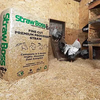 Greenway Animal Nutrition Premium Chopped Straw Bedding, 3 cu. ft. at ...