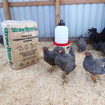 Greenway Animal Nutrition Premium Chopped Straw Bedding, 3 cu. ft. at ...