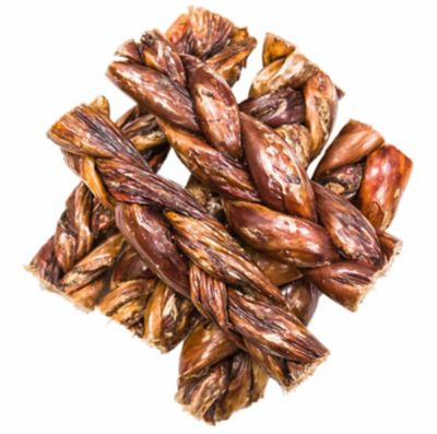 Hotspot Pets 12 in. Braided Beef Gullet Twist Dog Chew Treats, 3 ct. at ...