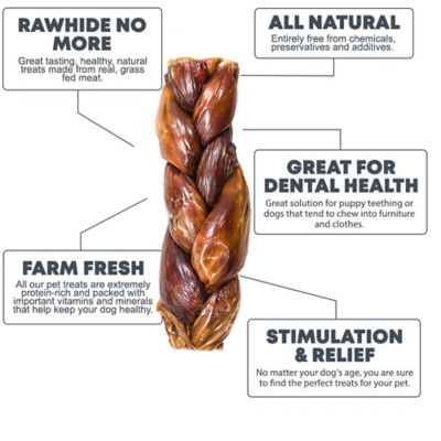 Hotspot Pets 12 in. Braided Beef Gullet Twist Dog Chew Treats, 3 ct. at ...