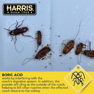 Harris 453g Boric Acid Roach Powder at Tractor Supply Co.