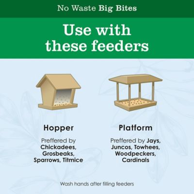 Royal Wing Total Care No Waste Big Bites Wild Bird Food, 5 lb. at ...