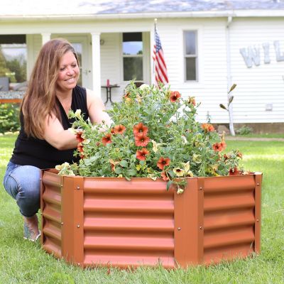 Sunnydaze Decor Raised Powder-Coated Hexagon Steel Garden Bed Kit for ...