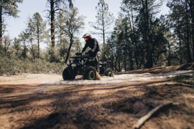 Coleman Powersports Adult 200cc Electric Start ATV at Tractor Supply Co.