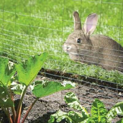 YARDGARD 25 ft. x 28 in. Welded Wire Garden Fence with Graduated ...