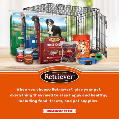 Retriever Bacon Flavor Wavy Dog Treats, 40 oz.