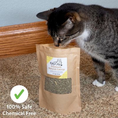 Kitty City Premium Natural Catnip Bag at Tractor Supply Co.