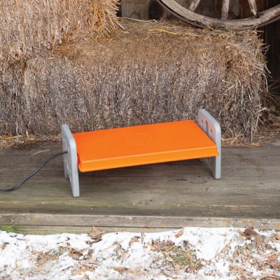 K&H Pet Products Thermo-Poultry Brooder, Gray/Orange at Tractor Supply Co.