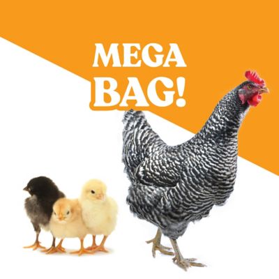 Manna Pro Hydro Hen Poultry Drinking Water Supplement, 20 oz. at ...