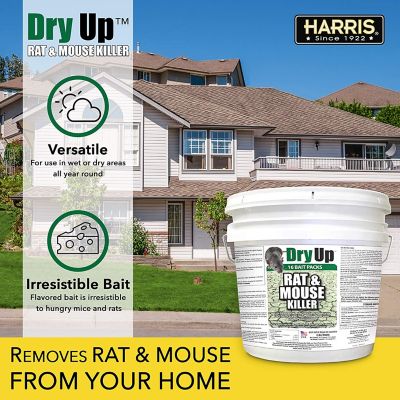 Harris 4 oz. Dry-Up Mouse and Rat Killer, 16-Pack at Tractor Supply Co.