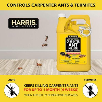 Harris 1 gal. Carpenter Ant Killer and Termite Control at Tractor ...