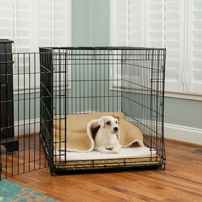 Snoozer Washable Cozy Cave Poly Cotton Forgiveness Mattress Pet Bed, L ...