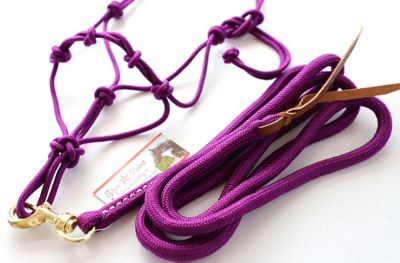 Star Point Horsemanship Miniature Horse/Pony 4-Knot Rope Halter with ...