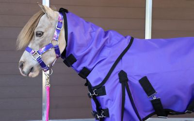 Star Point Horsemanship 1200D Waterproof Hooded Horse Sheet, 44-46 ...