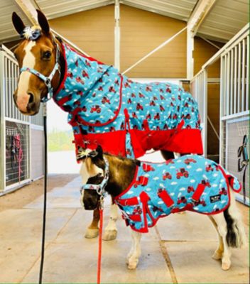 Star Point Horsemanship Tractor No-Fill Hooded Horse Sheet, 50-52 ...