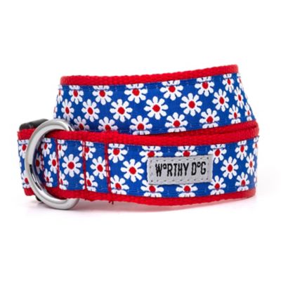 Worthy Dog Adjustable Daisies Dog Collar, S,Navy at Tractor Supply Co