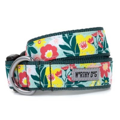 Worthy Dog Adjustable Spring Bouquet Dog Collar, XS,Green at Tractor ...