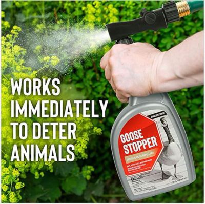 Animal Stoppers 32 oz. Goose Stopper Animal Repellent, Concentrate at ...
