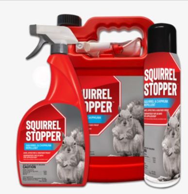 Animal Stoppers 1 gal. Squirrel Stopper Animal Repellent, Ready-to-Use ...