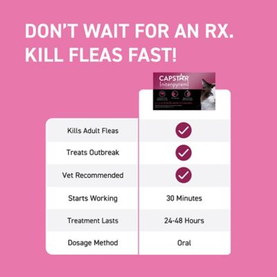 Capstar Oral Flea Treatment Tablets for Cats, 6 ct. at Tractor Supply Co.