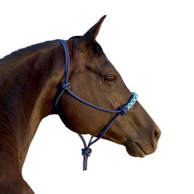 Western Halters & Leads at Tractor Supply Co.