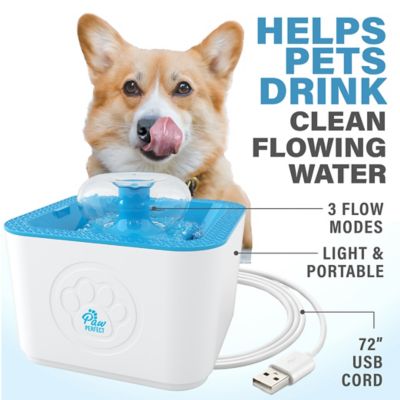 PawPerfect 2.5L Free-Flowing Plastic Pet Water Fountain with 3 Modes at ...
