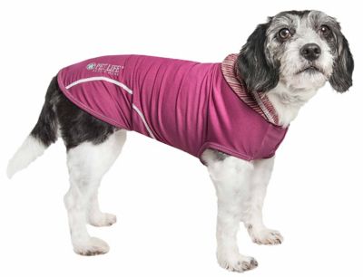 Pet Life Active Pull-Rover Premium 4-Way Stretch 2-Toned Performance ...