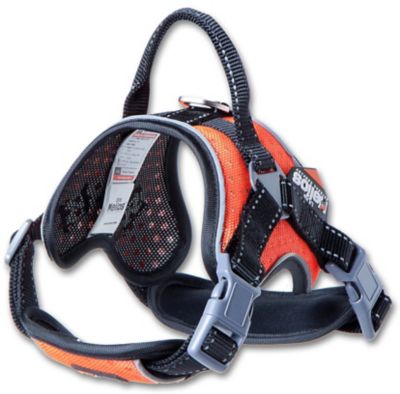 Dog Helios Scorpion Sporty High-Performance Free-Range Dog Harness, S ...
