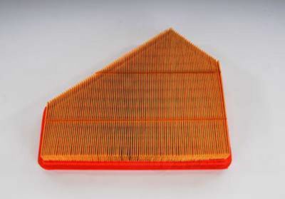 ACDelco Air Filter, BCVC-DCC-A2944C at Tractor Supply Co.