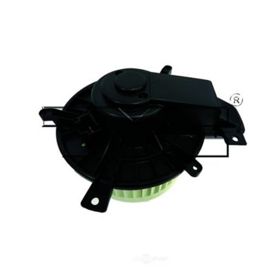 Replacement Blower Motors at Tractor Supply Co.