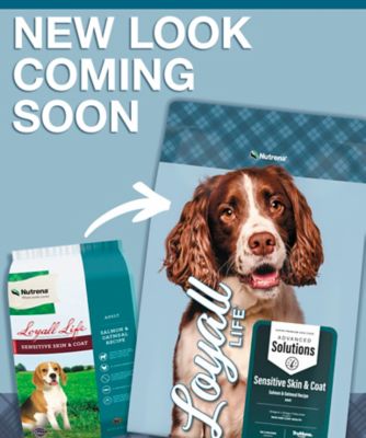 Nutrena Loyall Life Adult Sensitive Skin and Coat Salmon and Oatmeal ...