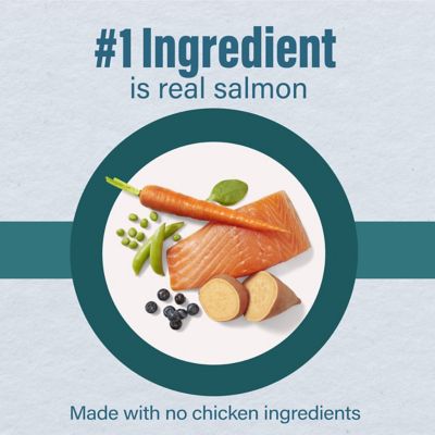 Nutrena Loyall Life Adult Sensitive Skin and Coat Salmon and Oatmeal ...