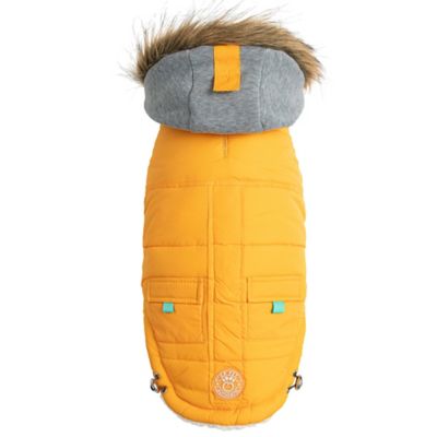 GF Pet Winter Sailor Dog Parka, XL,Yellow at Tractor Supply Co