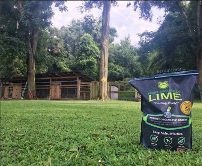 First Saturday Lime 5 lb. Natural Monthly Pest Insect Repellent at ...
