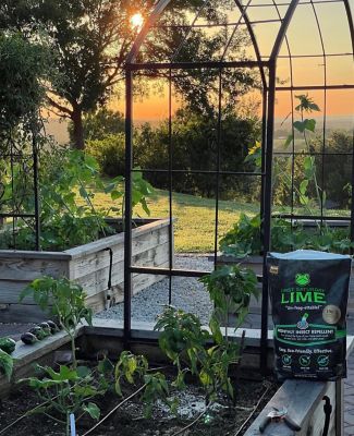 First Saturday Lime 20 lb. Natural Monthly Pest Insect Repellent at ...