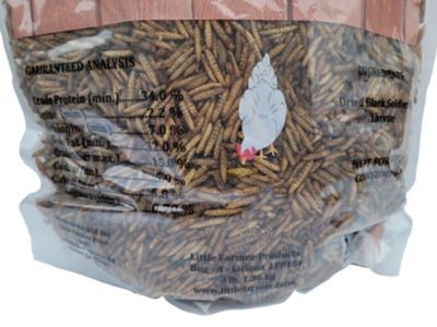 Little Farmer Products Bug-a-licious USA Grown Dried Black Soldier Fly ...