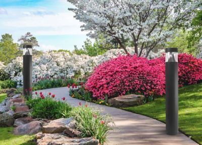 SOLUS Round Black LED Landscape Bollard Light, Exterior Surface-Mounted ...