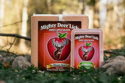 Mighty Deer Lick Sweet Apple Pocket Deer Attractant, 4 lb. Block at ...