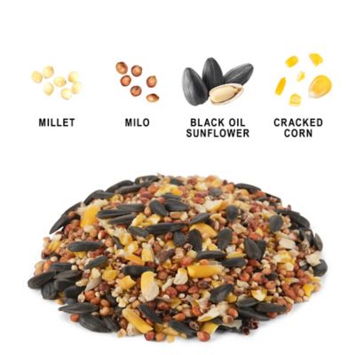 Royal Wing Classic Mix Wild Bird Food, 40 lb. at Tractor Supply Co.