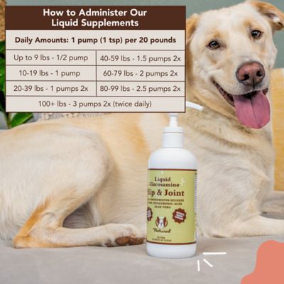 Natural Dog Company Liquid Glucosamine Hip and Joint Oil Supplement for ...