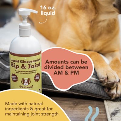 Natural Dog Company Liquid Glucosamine Hip and Joint Oil Supplement for ...