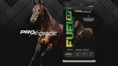 Nutrena ProForce Fuel XF Textured Horse Feed, 50 lb. Bag at Tractor ...