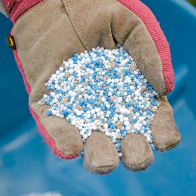 GreenView 7 lb. Weed and Feed at Tractor Supply Co.