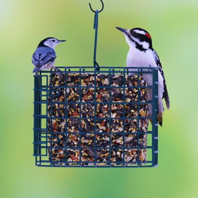 Royal Wing Woodpecker Seed Cake Bird Food, 24 oz. at Tractor Supply Co.