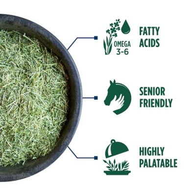 Standlee Premium Western Forage Timothy Grass Chopped Hay Horse Feed ...