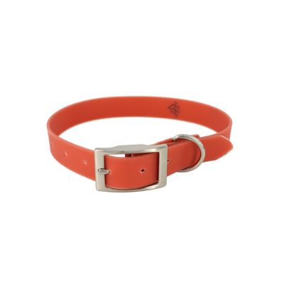 Dog Collars Tractor Supply